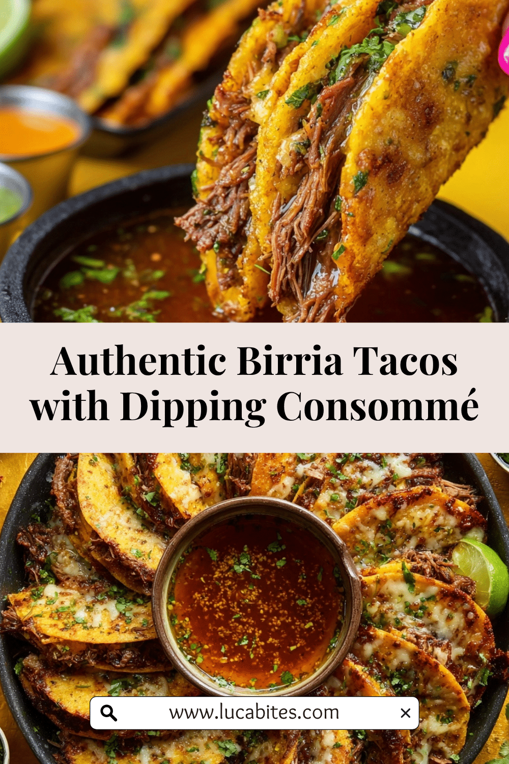 My Fave Birria Tacos Recipe - Taco Dream Fiesta