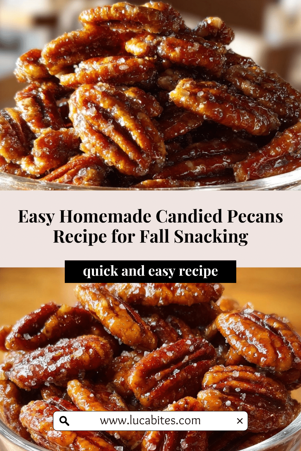 e Candied Pecans for Comforting Snacking – Sweet & Crunchy Treat